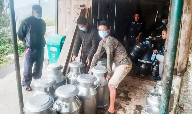 Sikkim Milk Union to ensure regular milk supply during lockdown ...