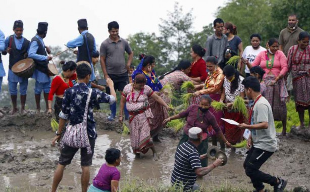 ‘Asaar Pandra’ celebrated at Khamdong - Sikkimexpress