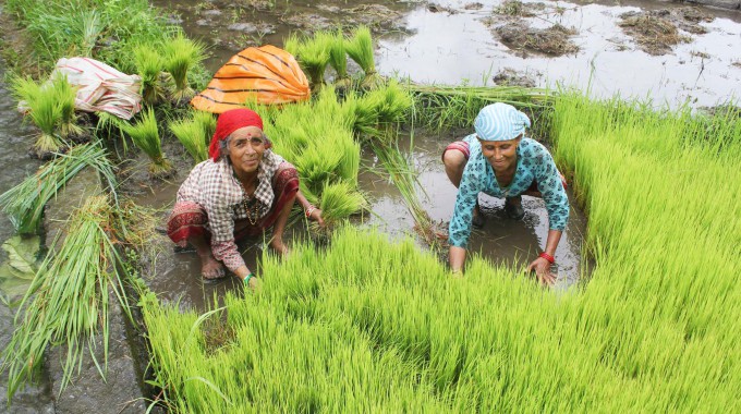 Sikkim’s organic farming should be showcased at G20 event: Chamling ...
