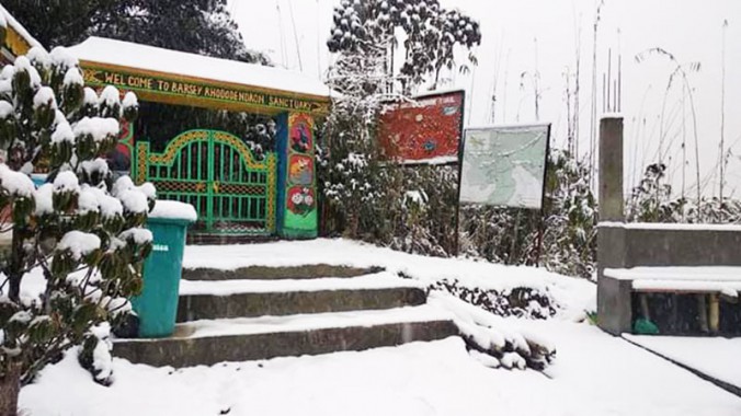Snowfall in higher reaches of West Sikkim - Sikkimexpress